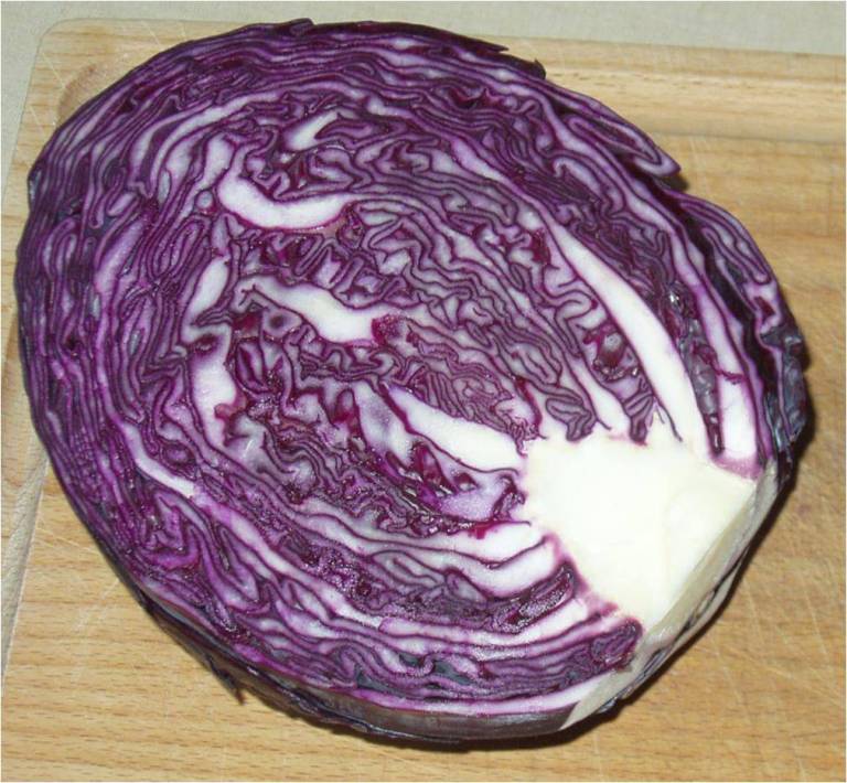 Hvordan steger man en and – og hvad med sovsen? – Dalsgaard i Skivholme